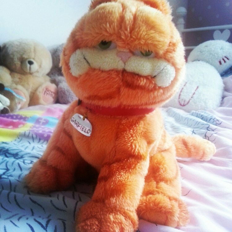 Garfield – Chasing Dragonflies